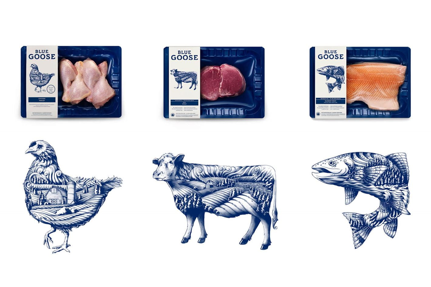 Platinum A’ Design Award with Blue Goose